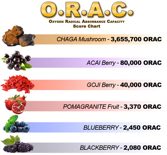 ORAC-Wert vom Chaga Pilz ist sensationell - Update 2019